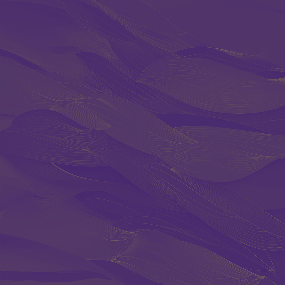 Carbon Fiber Violin Cases: BAM, Lion Case, SL Super Light