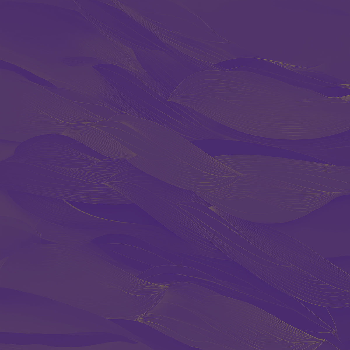 Carbon Fiber Violin Cases: BAM, Lion Case, SL Super Light