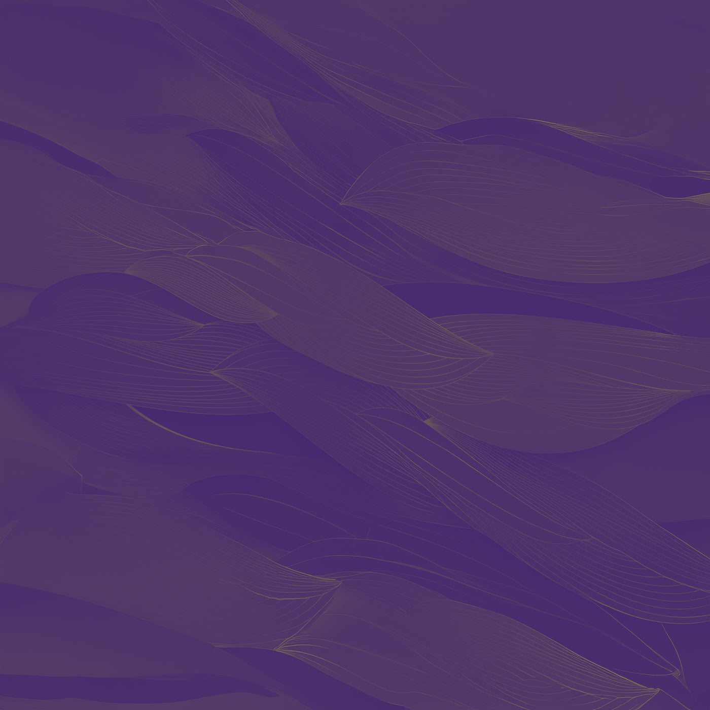 Carbon Fiber Violin Cases: BAM, Lion Case, SL Super Light