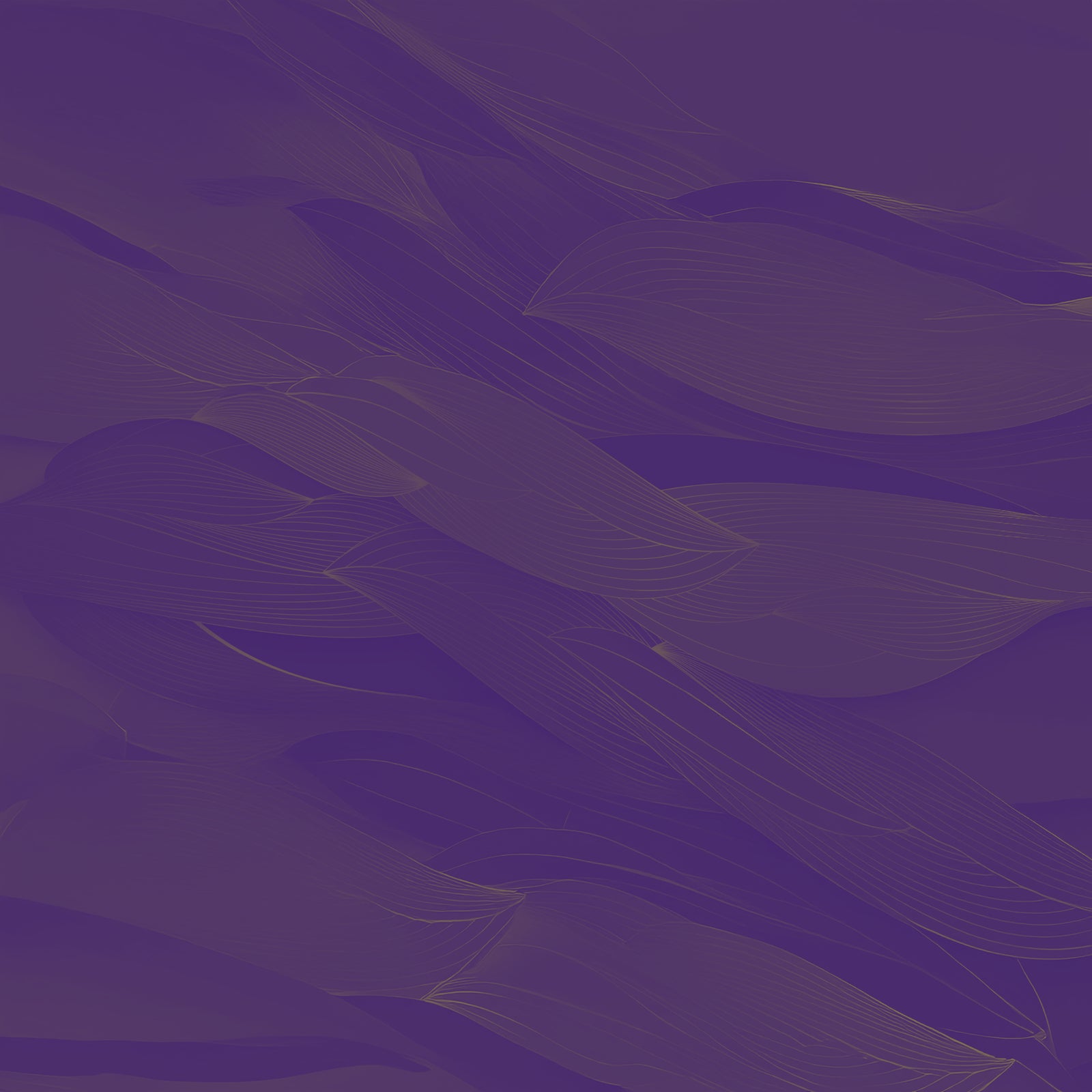 Carbon Fiber Violin Cases: BAM, Lion Case, SL Super Light