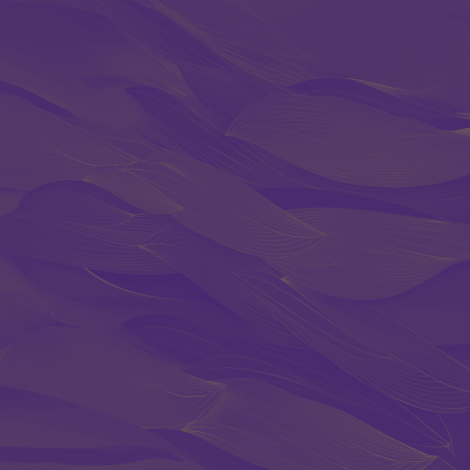 Carbon Fiber Violin Cases: BAM, Lion Case, SL Super Light