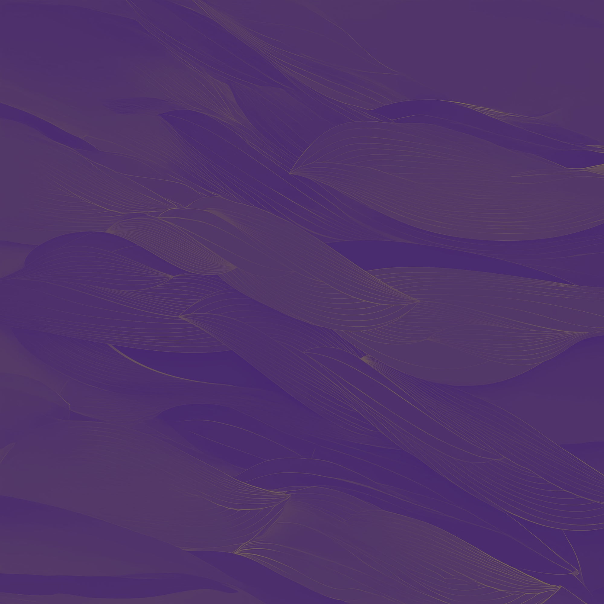 Carbon Fiber Violin Cases: BAM, Lion Case, SL Super Light