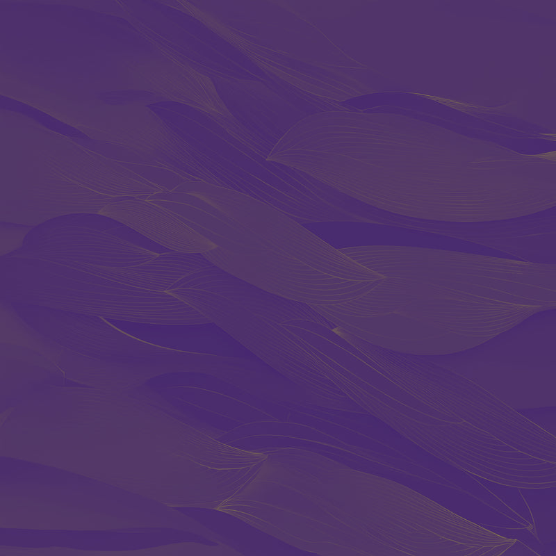 Carbon Fiber Violin Cases: BAM, Lion Case, SL Super Light