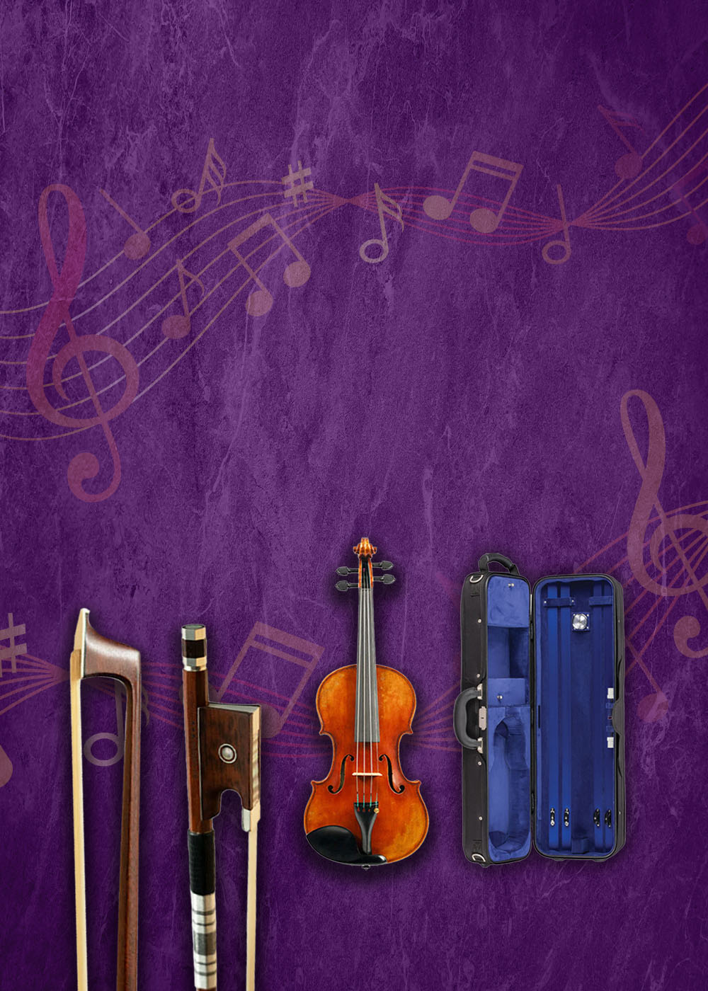 The Premier String Instruments Shop Online | Shar Music