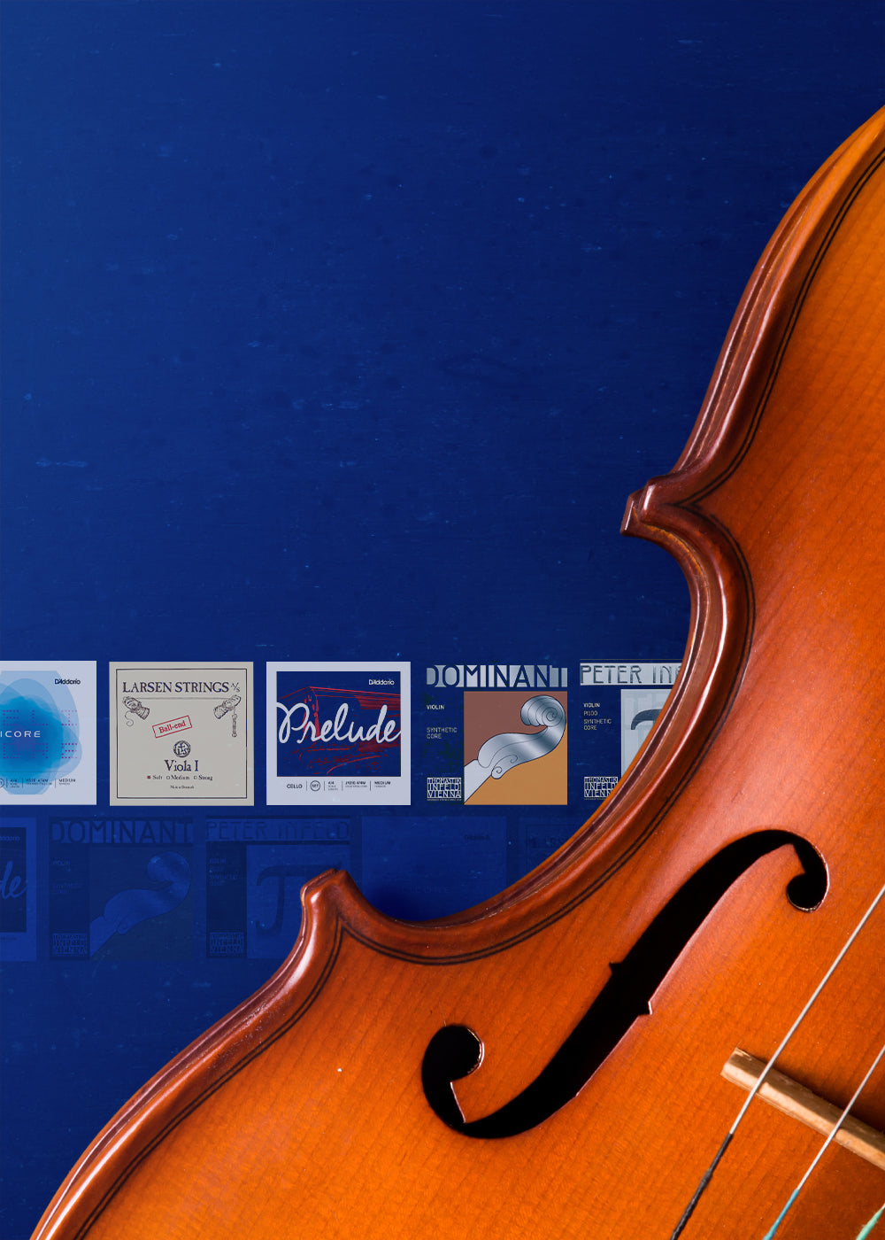 The Premier String Instruments Shop Online | Shar Music
