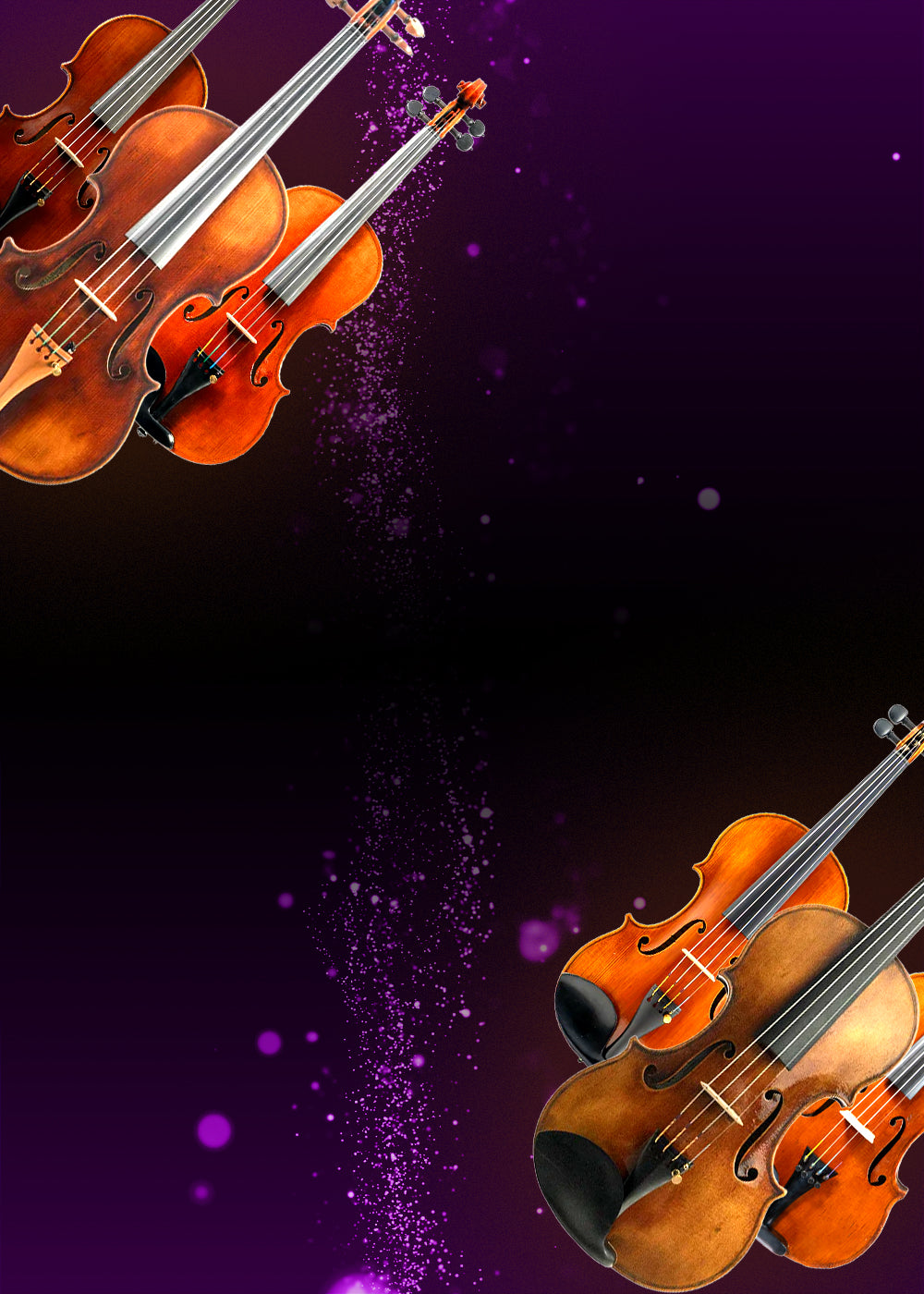 The Premier String Instruments Shop Online | Shar Music