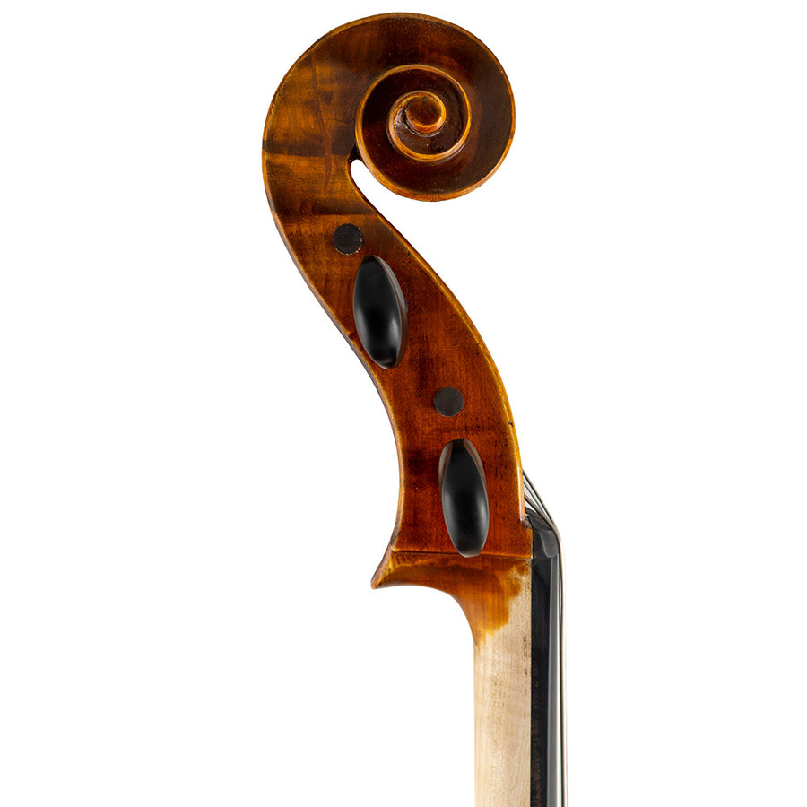 Franz Hoffmann Concert Cello - String Music Instrument