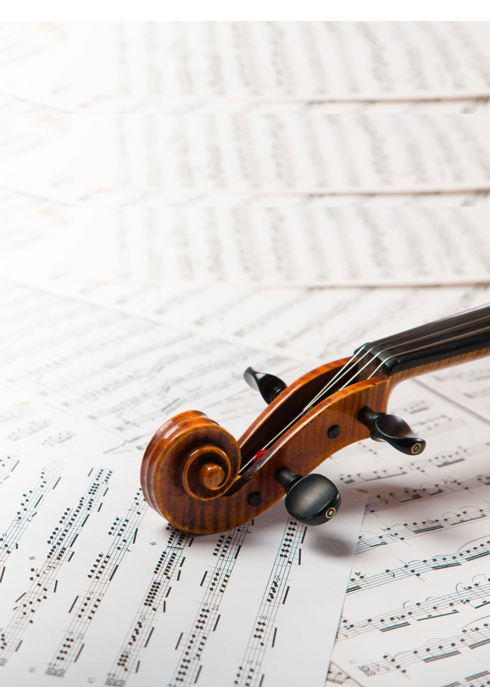 The Premier String Instruments Shop Online | Shar Music