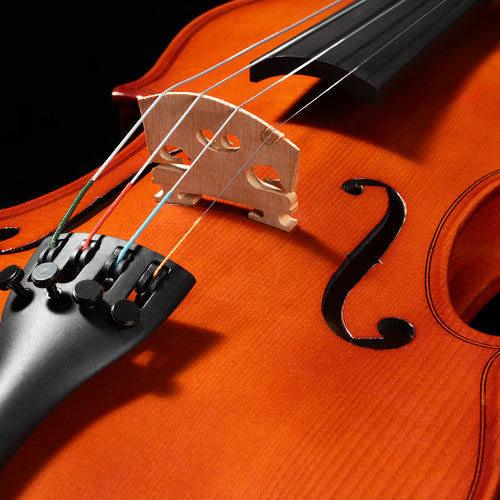 Franz Hoffmann Amadeus Violin Outfit in 4/4 - 1/16 Sizes - Shar