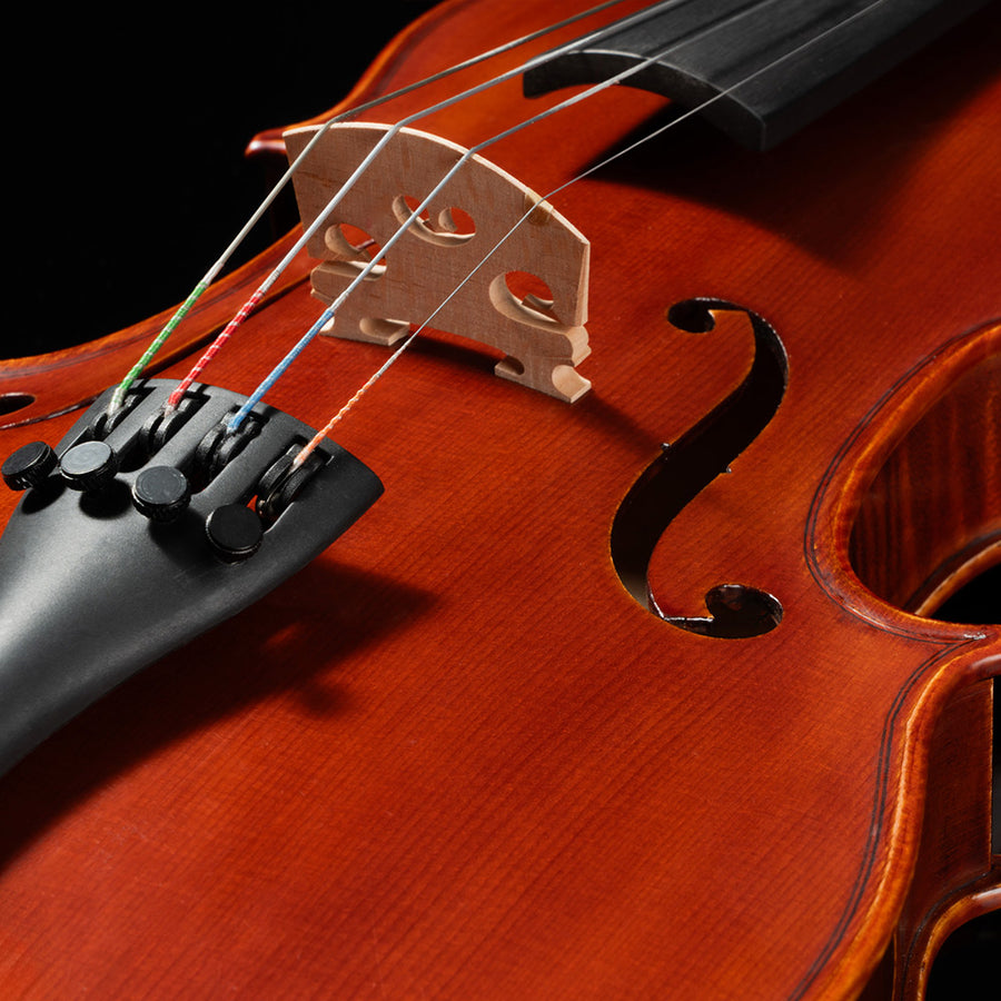 Franz Hoffmann Maestro Violin Outfit - in 4/4 - 4/1 Sizes - Shar