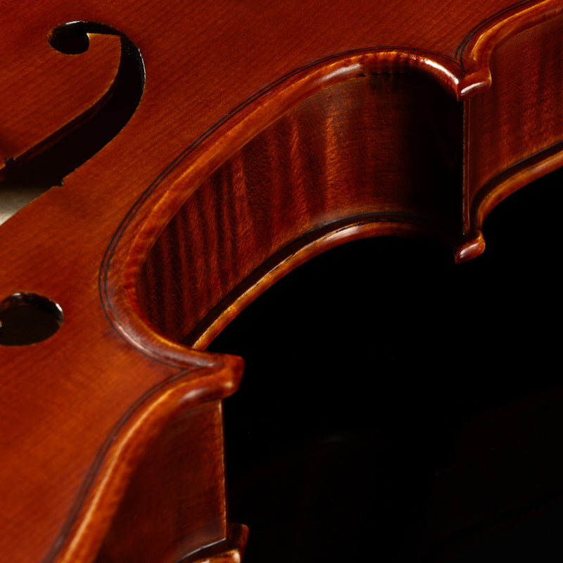 Franz Hoffmann Maestro Violin Outfit - in 4/4 - 4/1 Sizes - Shar