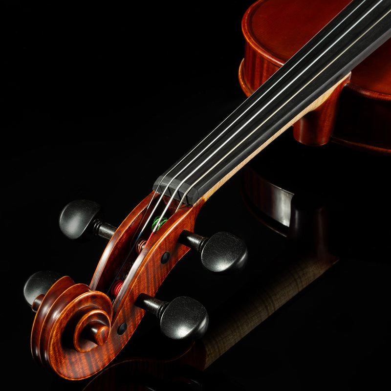 Franz Hoffmann Maestro Violin Starter Kit - Shar Music