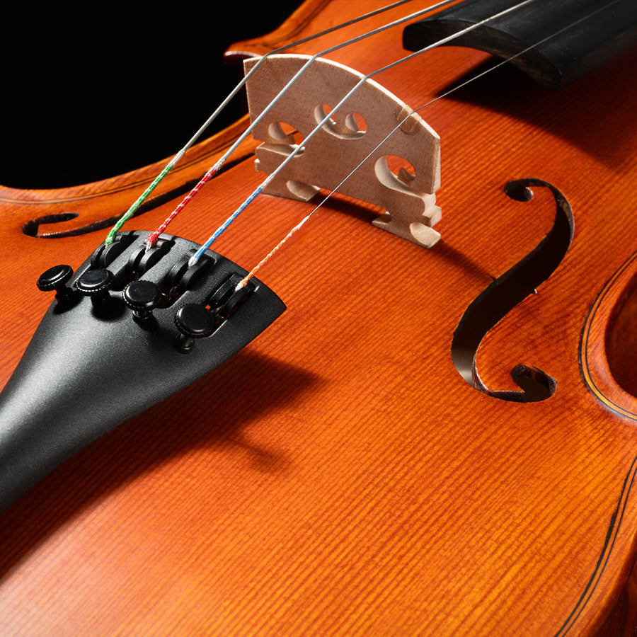 Franz Hoffmann Vienna Violin Outfit - 4/4-1/2 Sizes - Shar Music