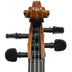 Franz Hoffmann Concert Violin - String Music Instrument