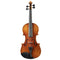 Affordable Shar RePLAY Beginner Violin Outfit