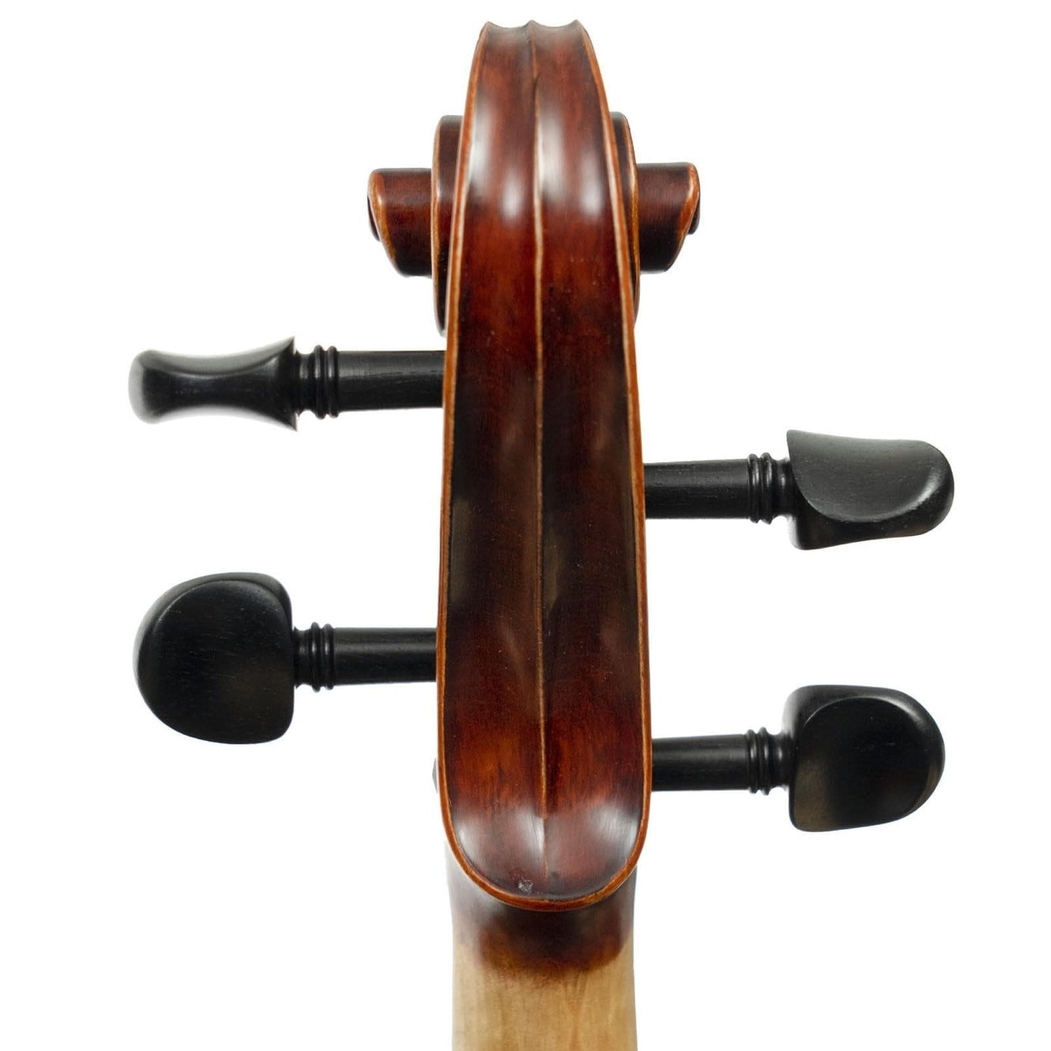 Maestro Franz Hoffmann's Violin Music Instrument - Shar Music