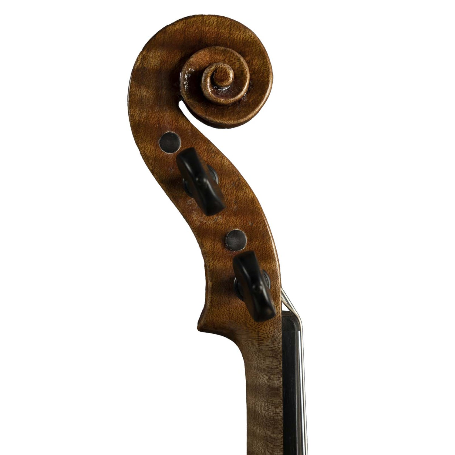 Sofia Vettori Capello's Violin Firenze 2021