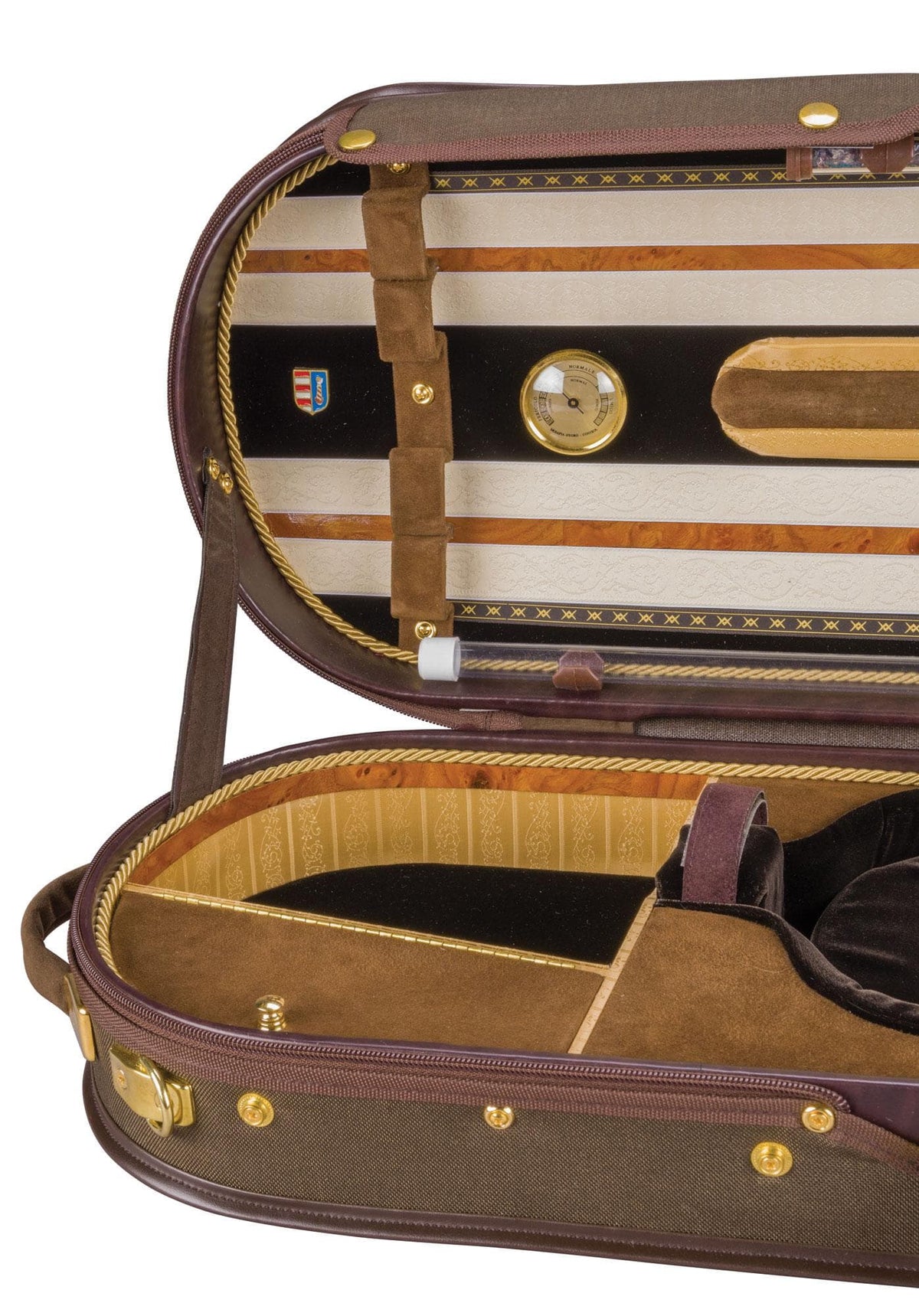 Aeternum Aureum Violin Case - Music Accessories