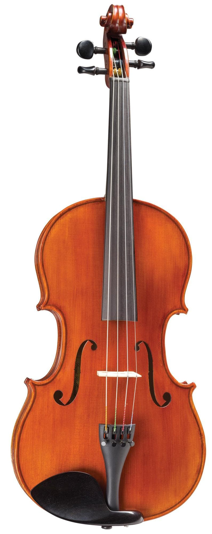 Beginner Viola Etude by Franz Hoffmann