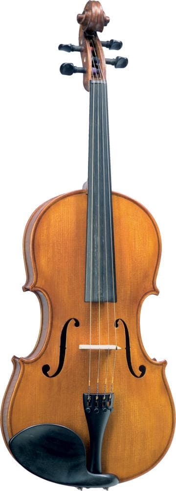 14 inch Viola by Franz Hoffmann - Maestro String Instrument