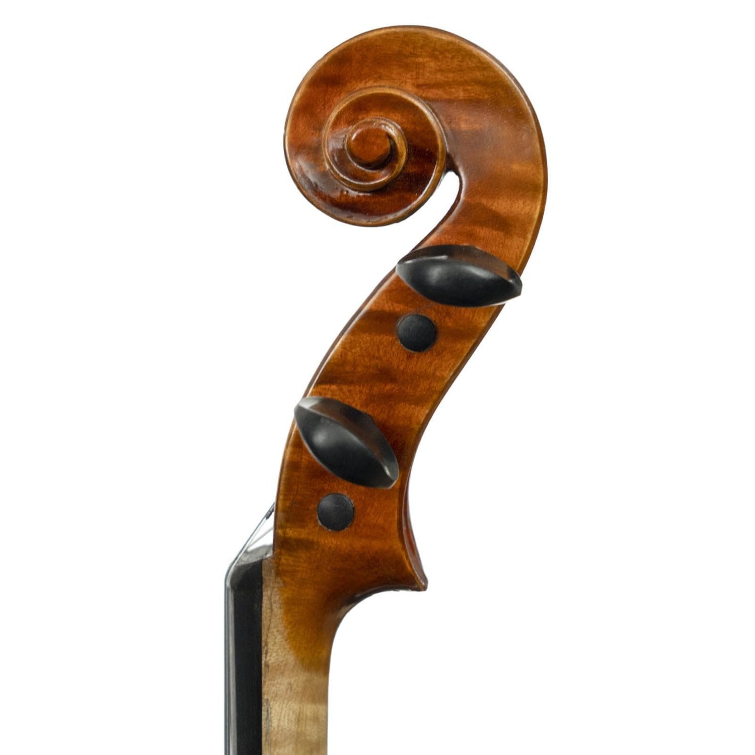 Franz Hoffmann Concert Violin - String Music Instrument