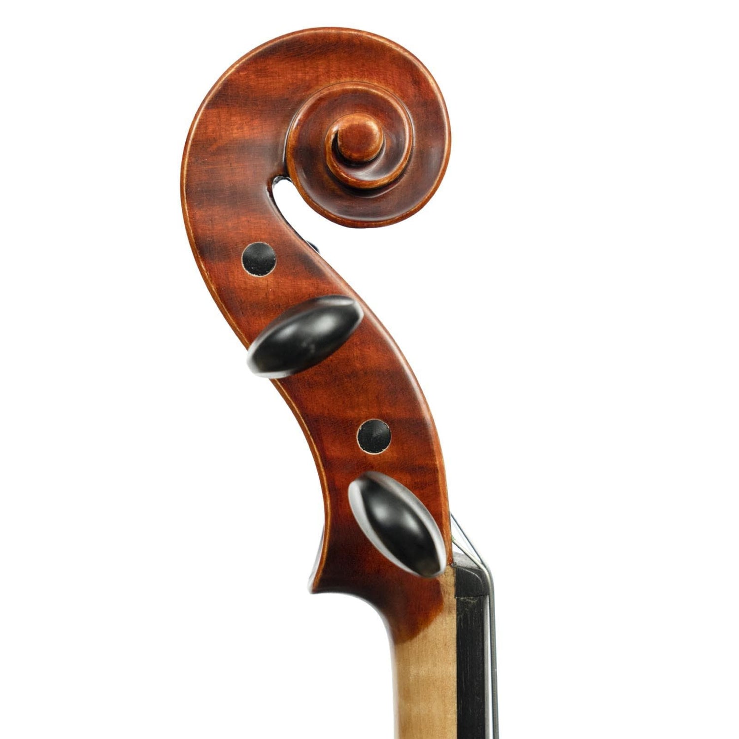 Maestro Franz Hoffmann's Violin Music Instrument - Shar Music