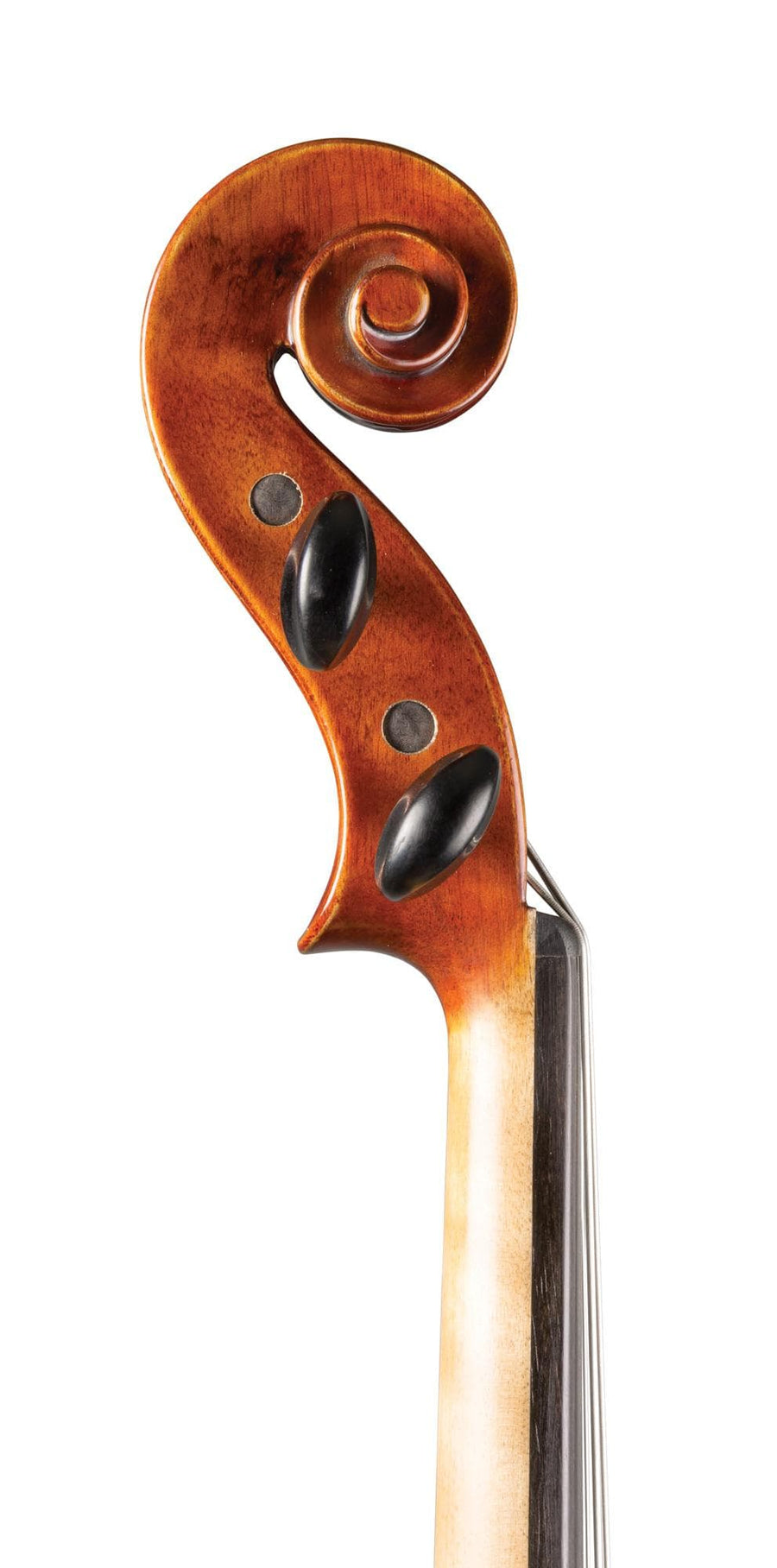 Beginner Viola Etude by Franz Hoffmann